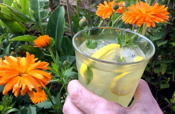 Libanesisk limonade: Avhengighetsdannende sitronsaft – Verdensmat